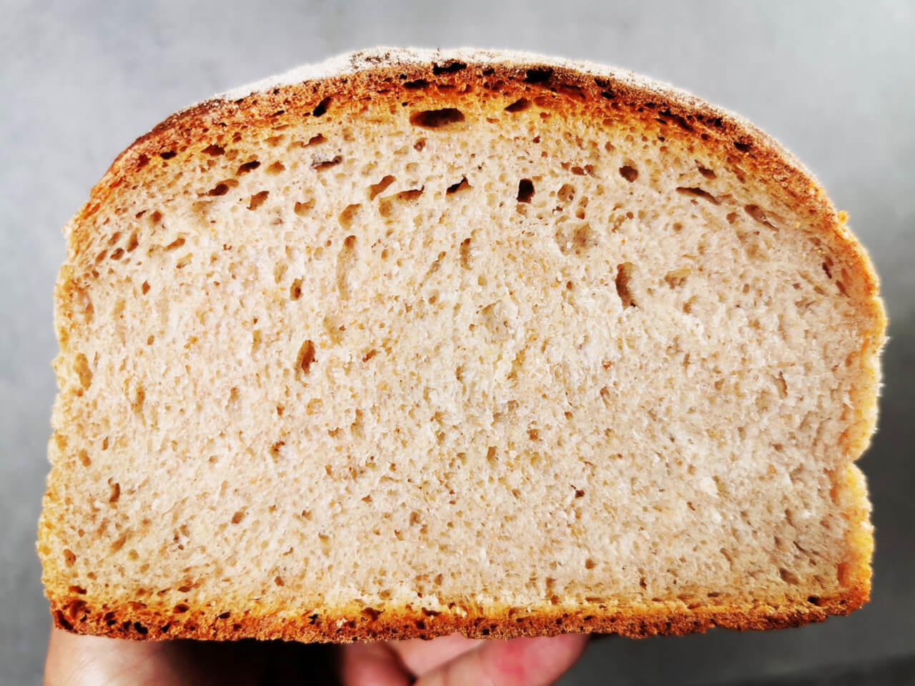 Mein Rezept für Schwabachtaler Stuten mit Lievito Madre - www.brooot.de