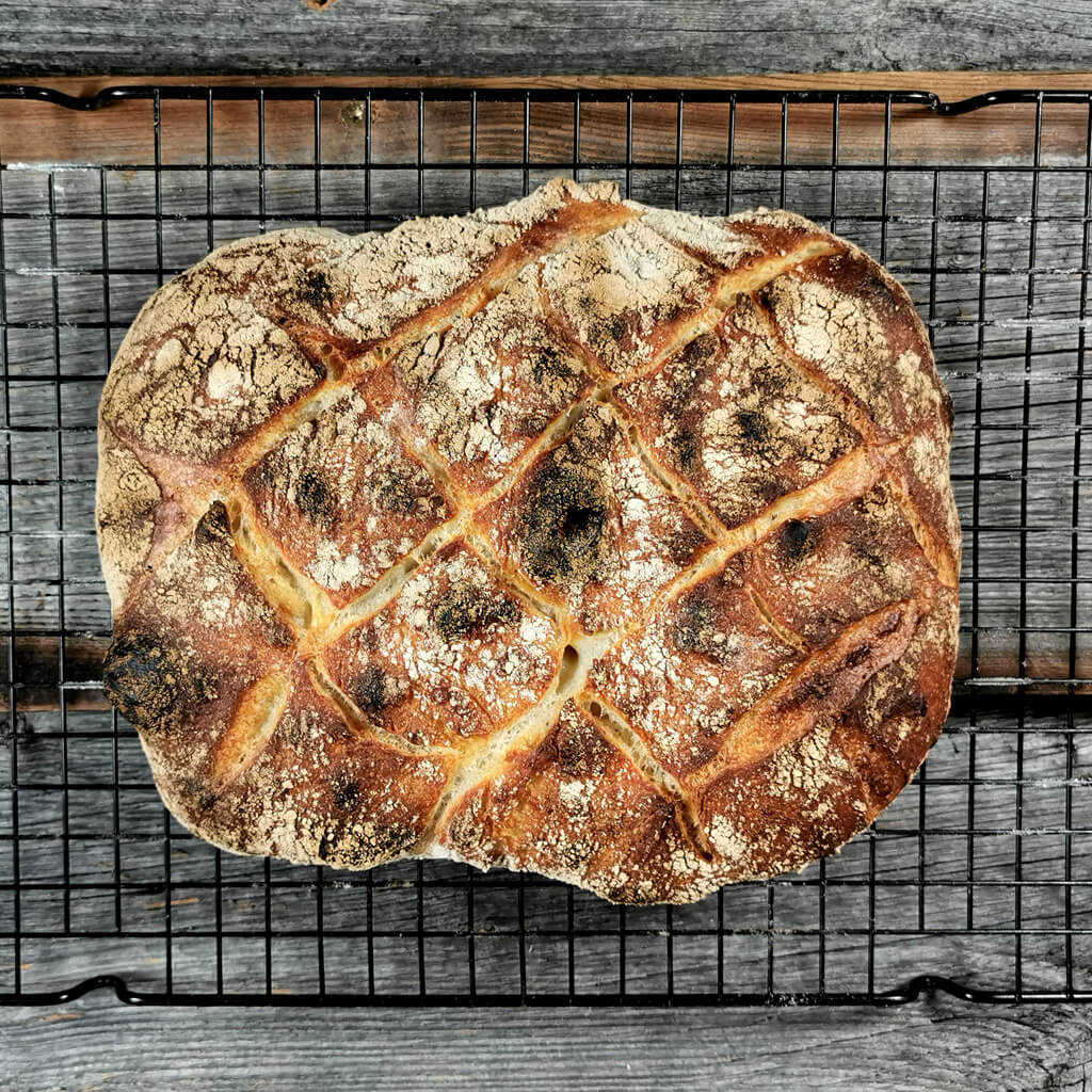 Rezept für Slab Bread frei nach Chad Robertson - www.brooot.de