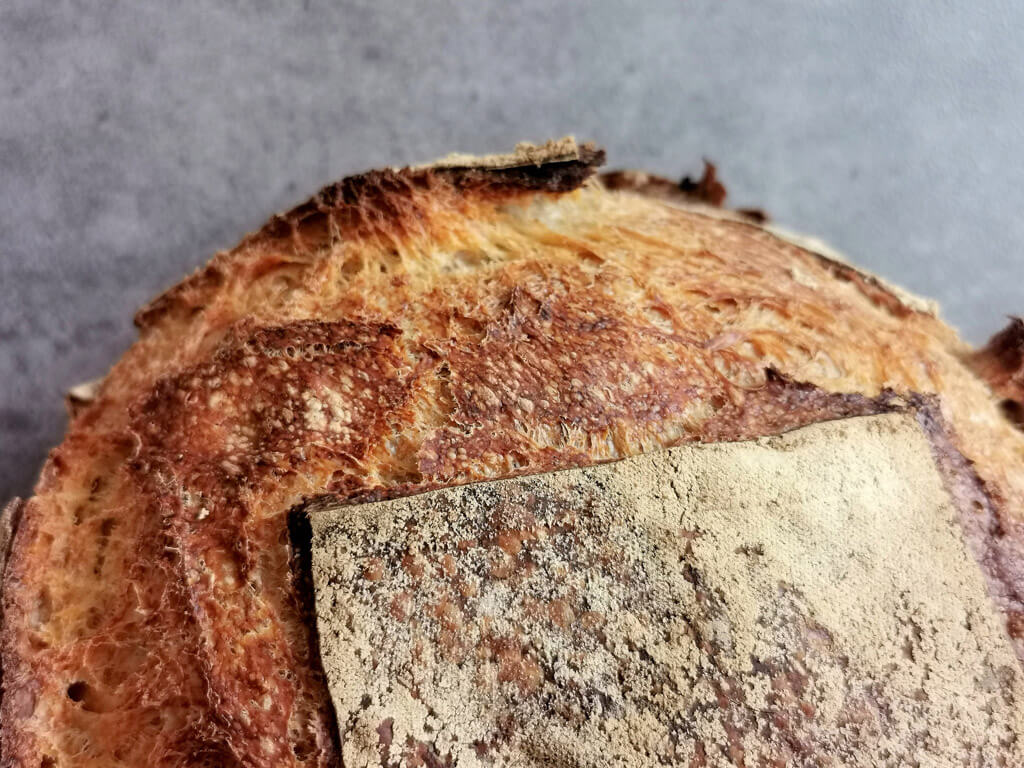 Ukrainisches Palyanytsya Brot [Rezept]