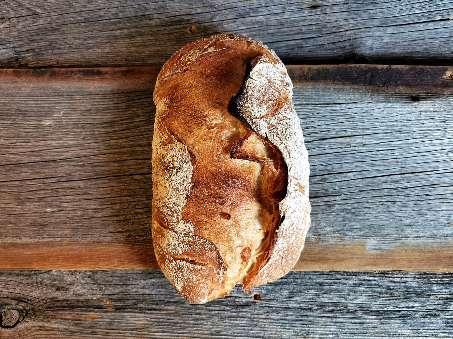 Die rustikale Ciabatta-Kruste [Brot einfach selber backen]