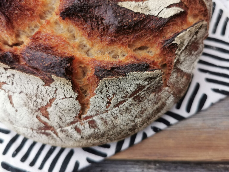 All-in-One Quark-Brot 100% Dinkel, 100% lecker