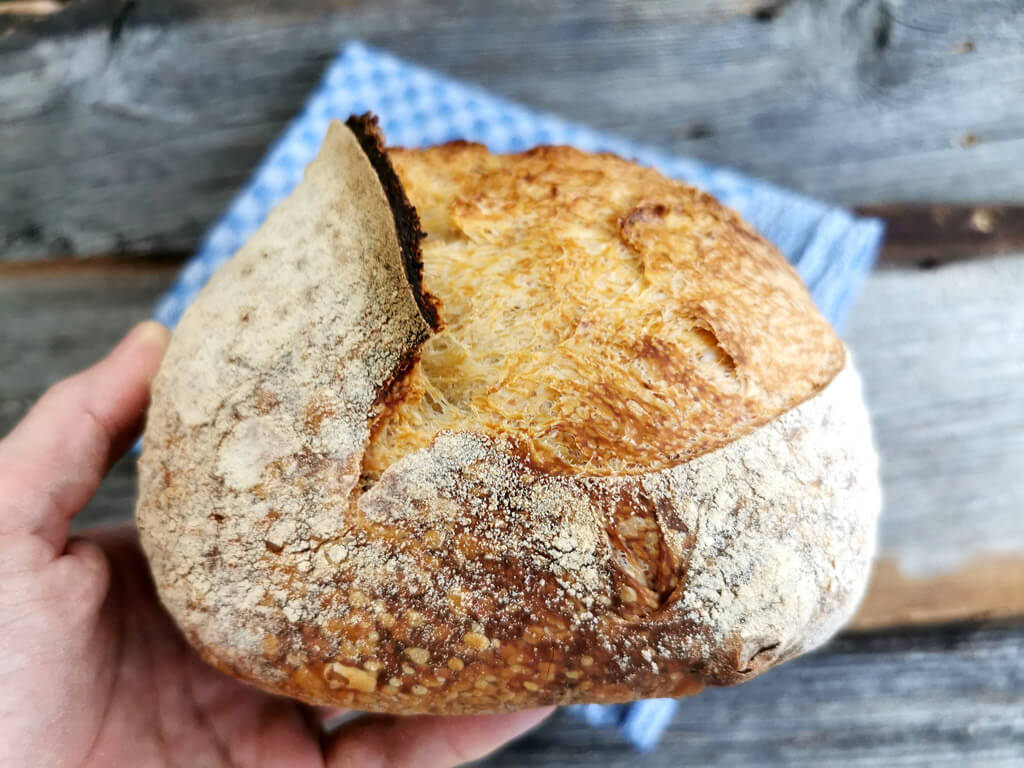 Egg Tartine Sauerteig-Brot für Fortgeschrittene im Rezept