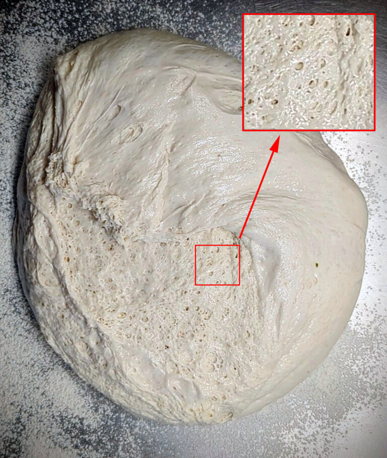 Enzymatik in Mehl und im Brotteig erklärt