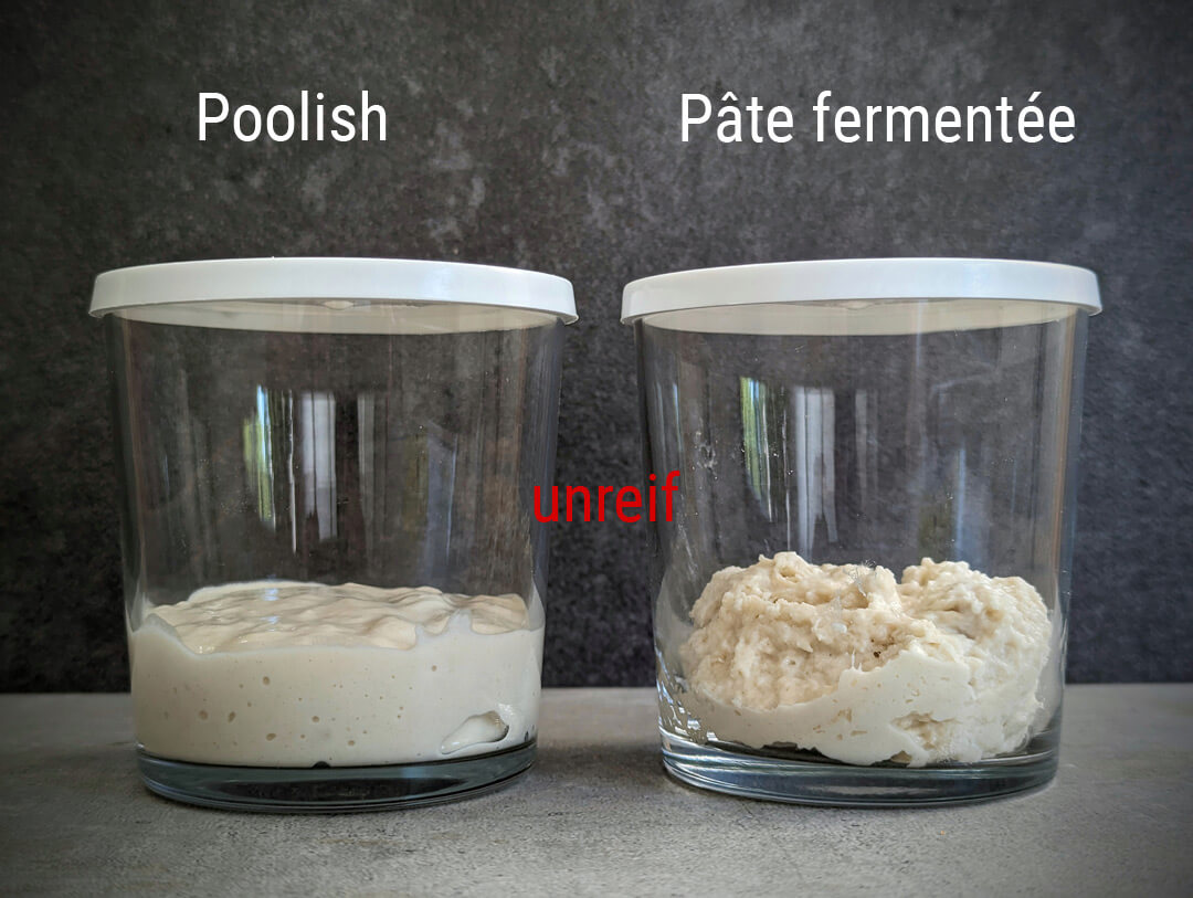 Poolish - Wozu brauche ich ihn beim Brotbacken?