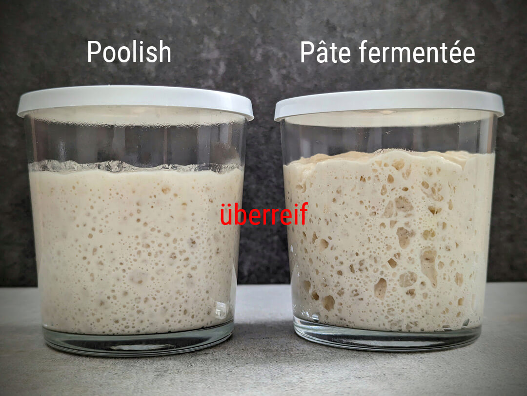 Poolish - Wozu brauche ich ihn beim Brotbacken?