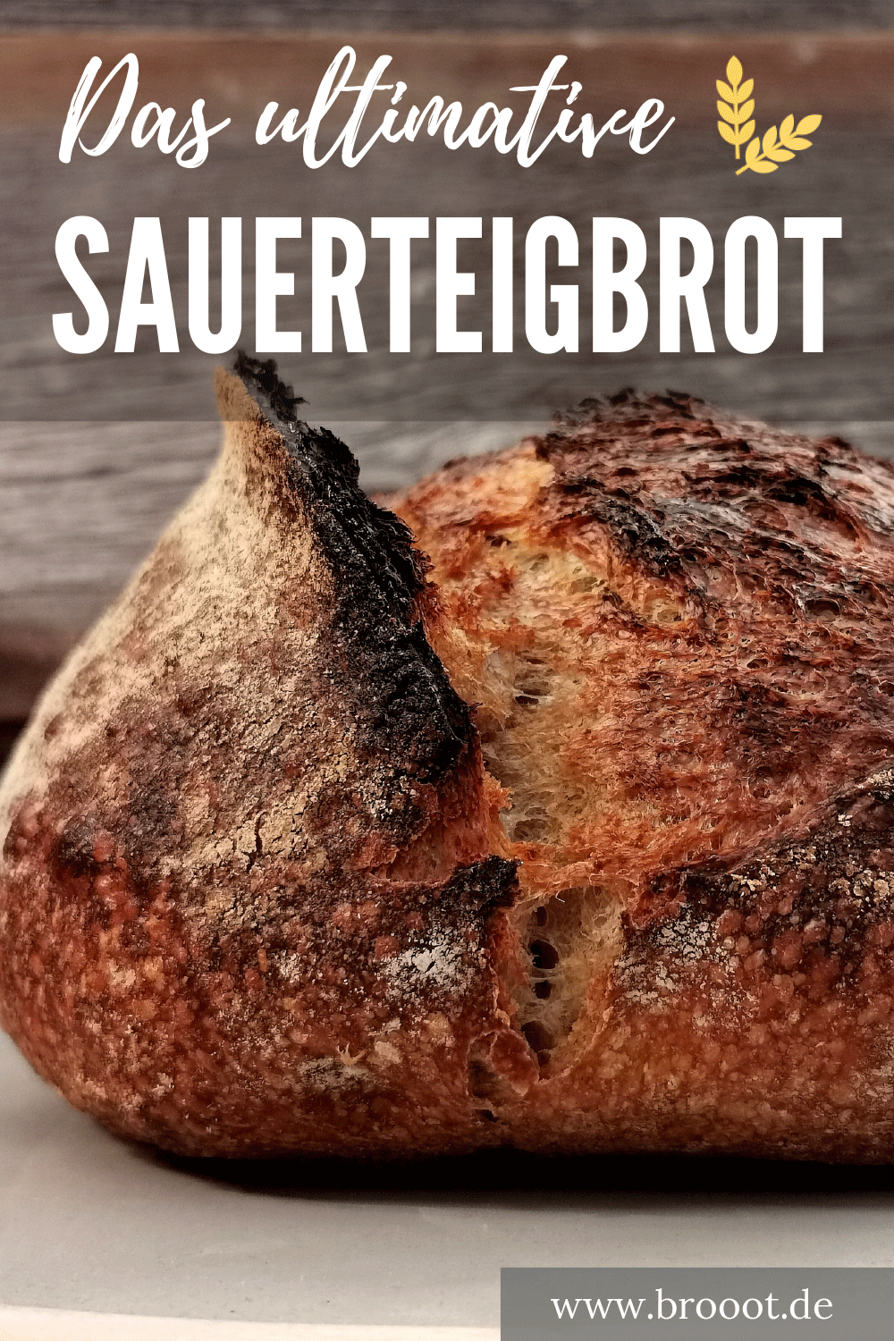 Das Ultimative Sauerteigbrot Damit wirst du zum Backprofi