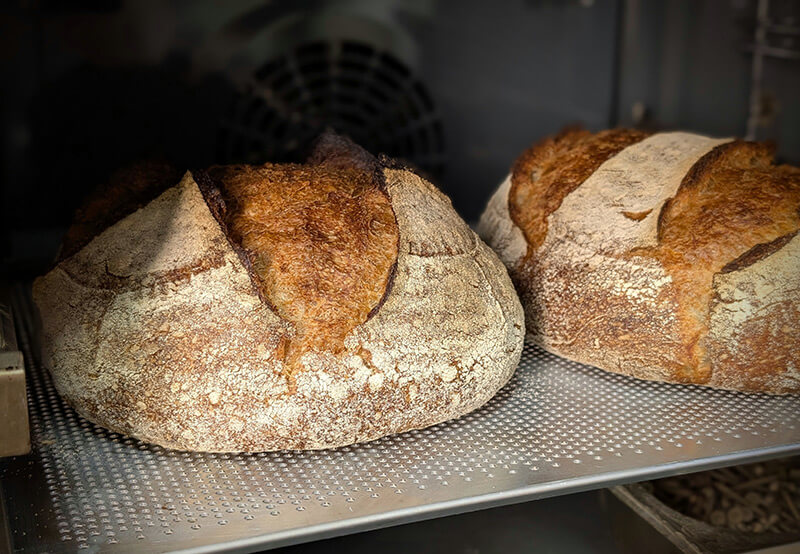 Brot oder Brötchen backen auf einem Backblech - So geht's